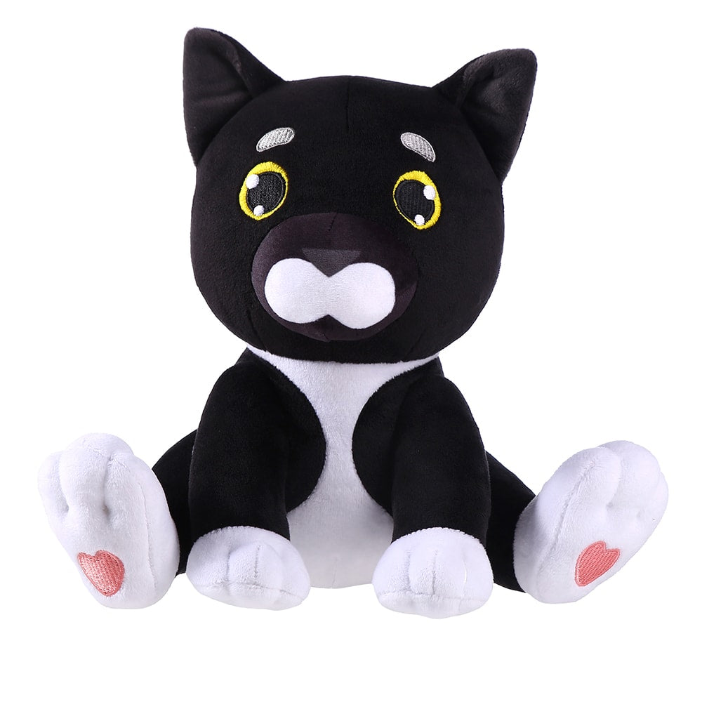 Charlie Chap the WonderCat – Gimme Swag