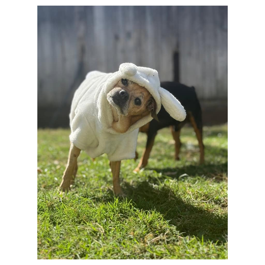 Queen Little Miss Plush – Gimme Swag