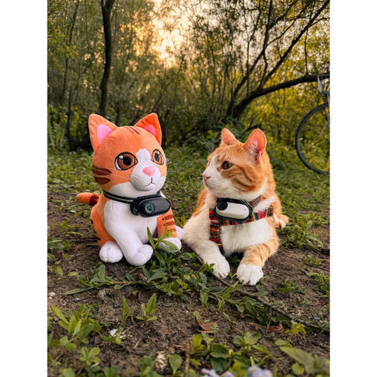 Ros Adventure Cat Plushie (Official) – Gimme Swag